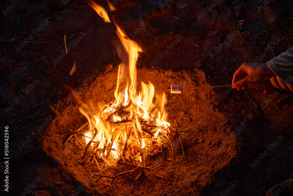Beautiful campfire in the evening at the forest. Fire burning in dusk ...