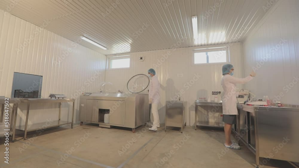 Extraction of mucin from snails at a snail farm. Laboratory at the ...