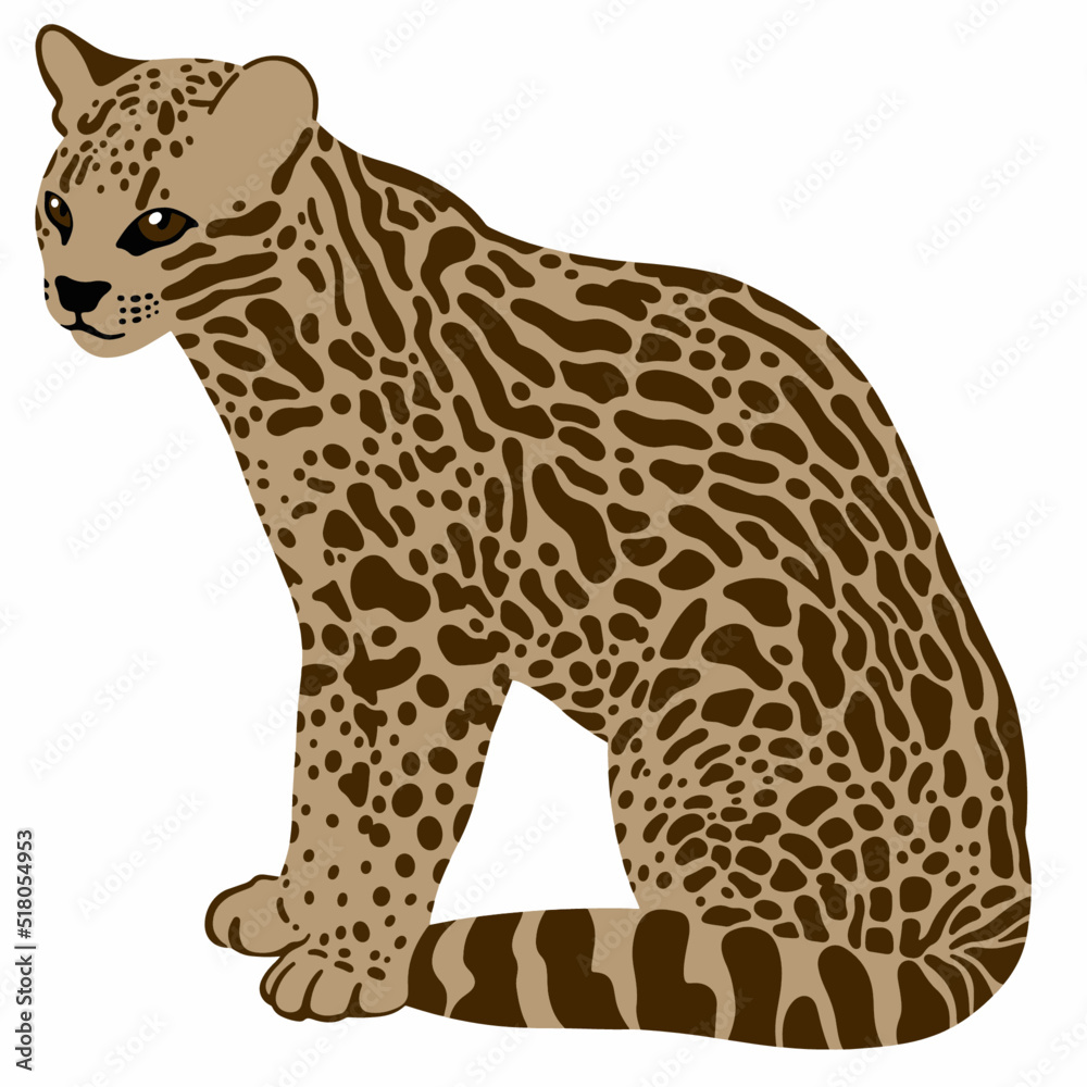 Ocelot realistic vector illustration isolated on white Stock Vector ...