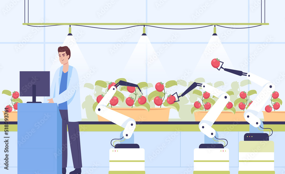 Cartoon scientist controlling automatic harvesting of tomatoes ...