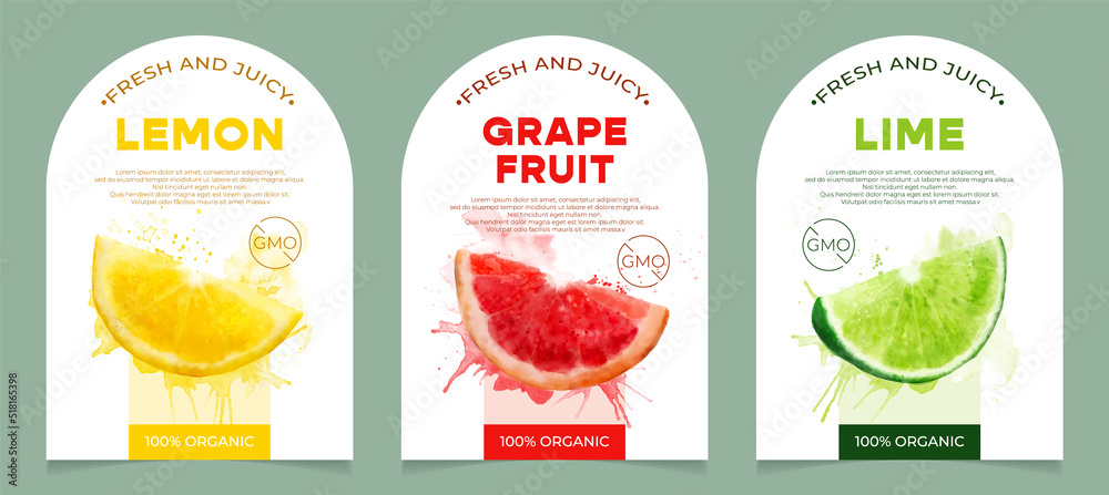 Set of 3 labels, packaging of fresh and juicy citrus fruits. Natural ...