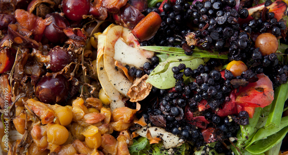 Kitchen and garden scraps - decomposting the household waste to produce ...