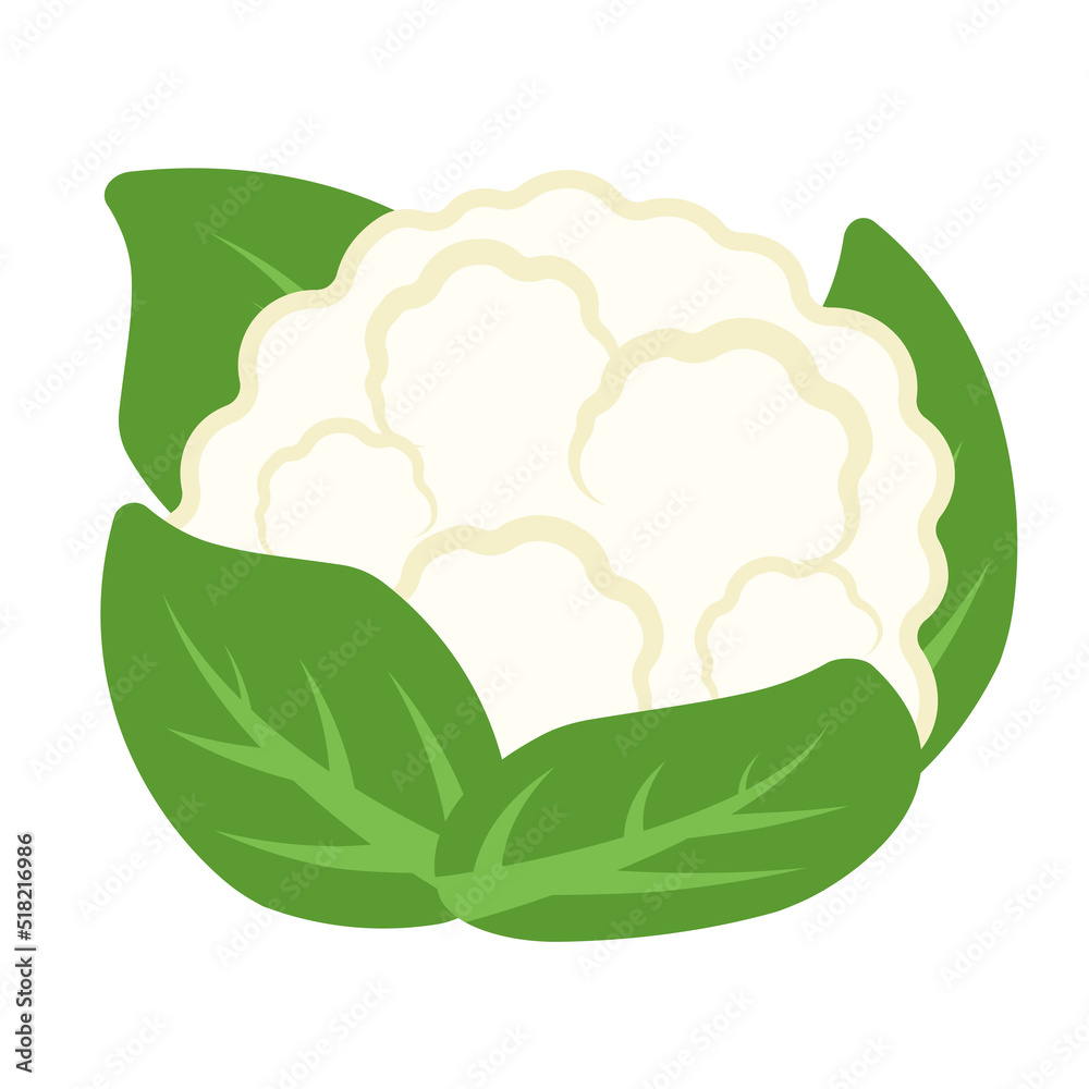 Cabbage Clip Art