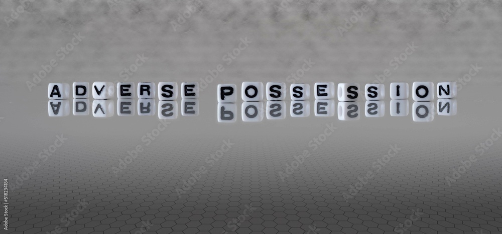 adverse possession word or concept represented by black and white ...