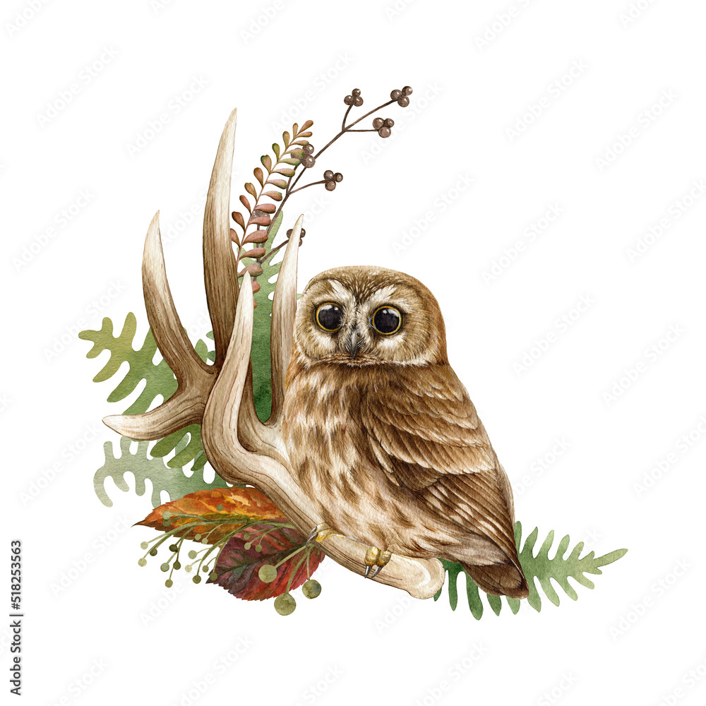 Floral forest decor with tiny brown owl. Watercolor illustration. Hand ...