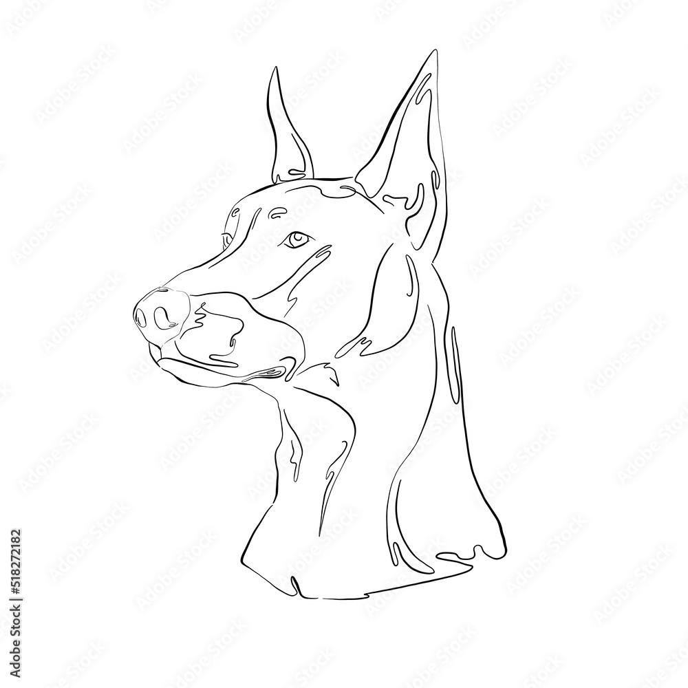 Beautiful detailed line art.Stylish background,wallpaper,template ...