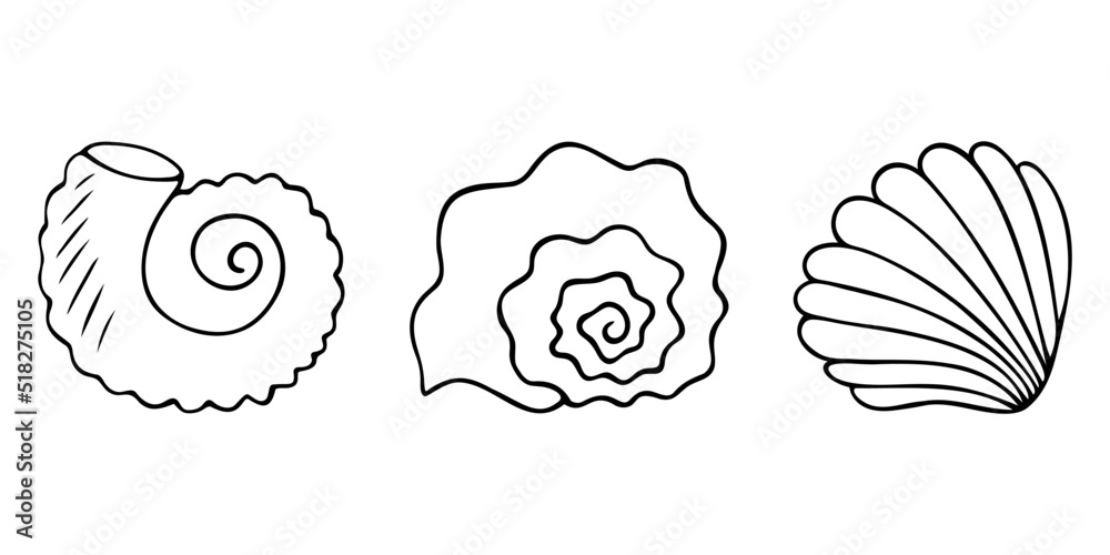 Sea shell. Sketch. Underwater fossils set. Vector collection of ...