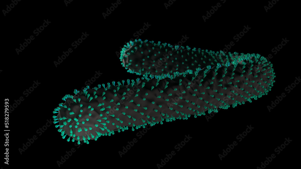 Marburg virus, 3d rendering medical science illustration. Marburgvirus ...