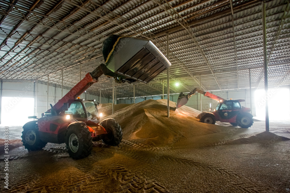 Agro manufacturing plant. Excavator with wheat grain in the elevator ...