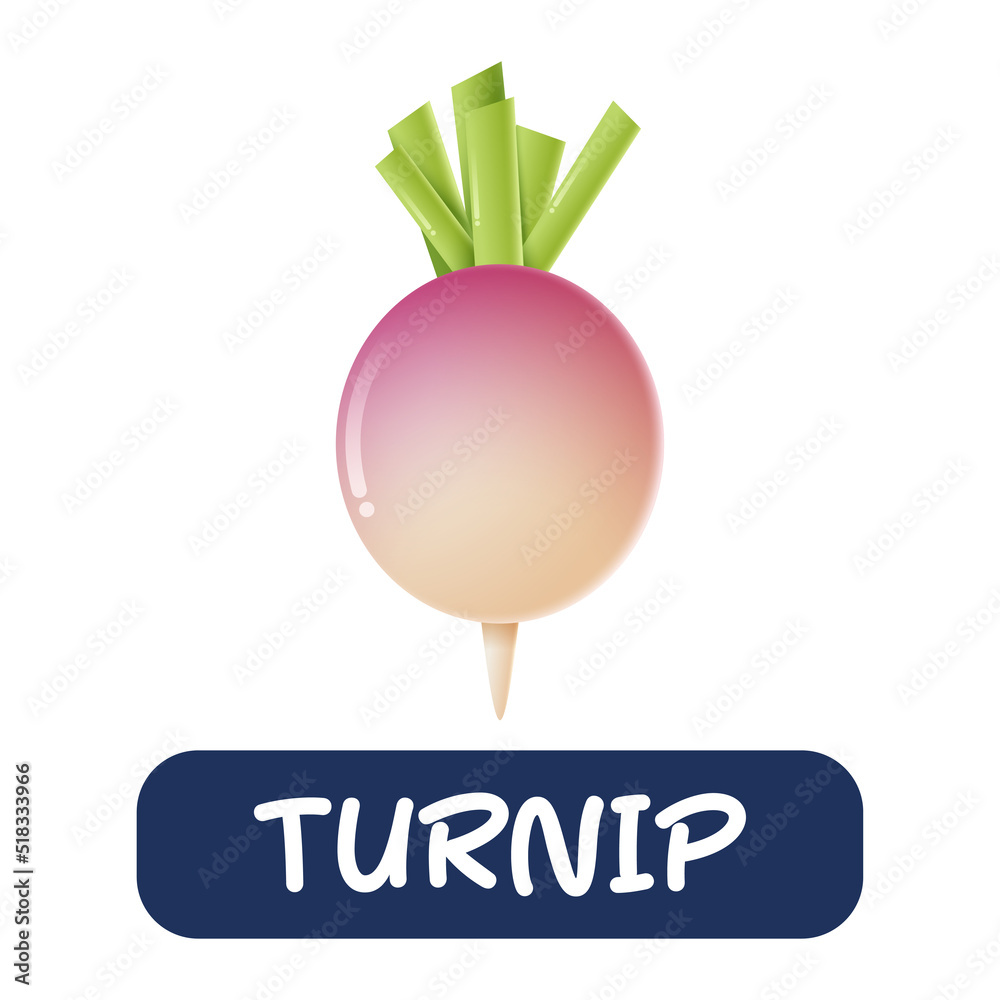 cartoon turnip vegetables vector isolated on white background Stock ...