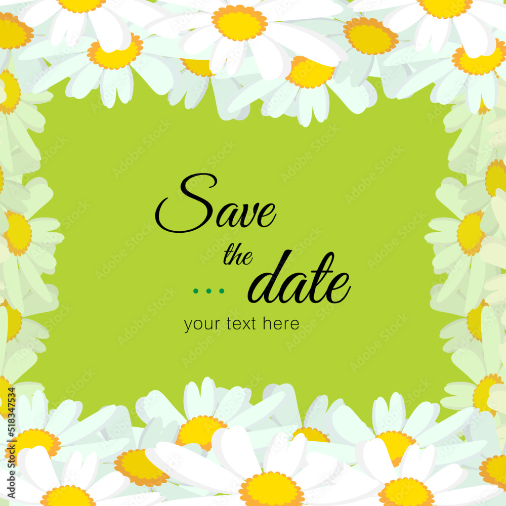 White chamomile or daisy flowers frame on green background. Spring ...