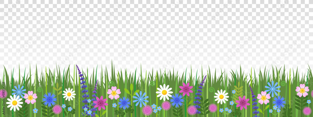 Grass and wild flowers seamless border isolated on transparent ...