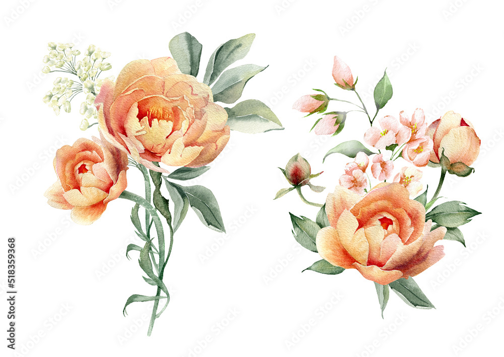 Watercolor Peony boho flowers clipart. Hand painted peach color floral ...