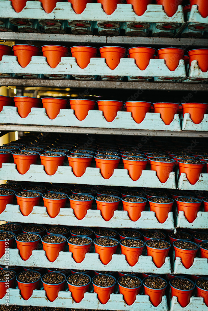 Vertical farming in a plant factory Stock Photo | Adobe Stock