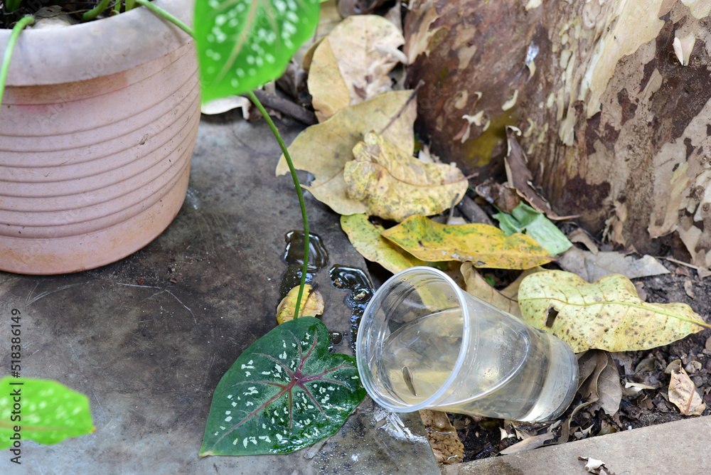 abandoned plastic packaging with stagnant dirty water inside. close ...