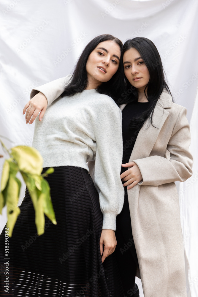 Attractive twin sisters in black and white minimal aesthetic Stock ...