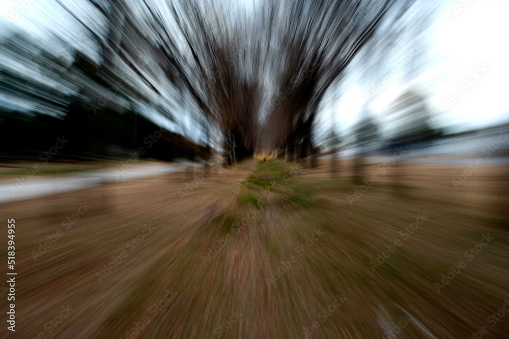Foto de Bosque en el parque de la ciudad con movimiento de velocidad de ...