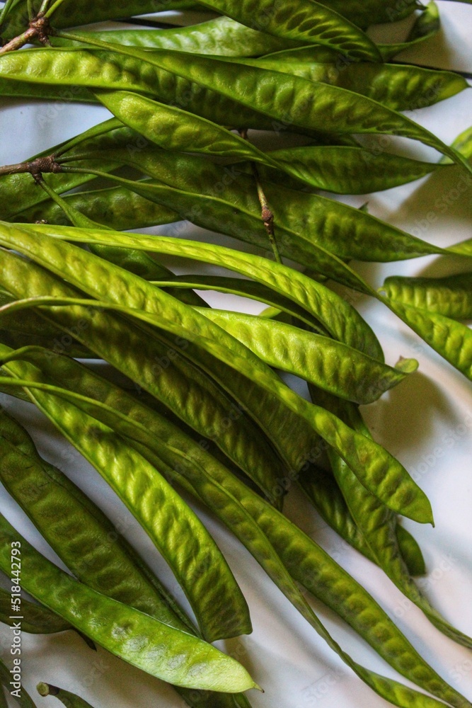 Lamtoro, kemlandingan, petai selong or petai china is a type of shrub ...