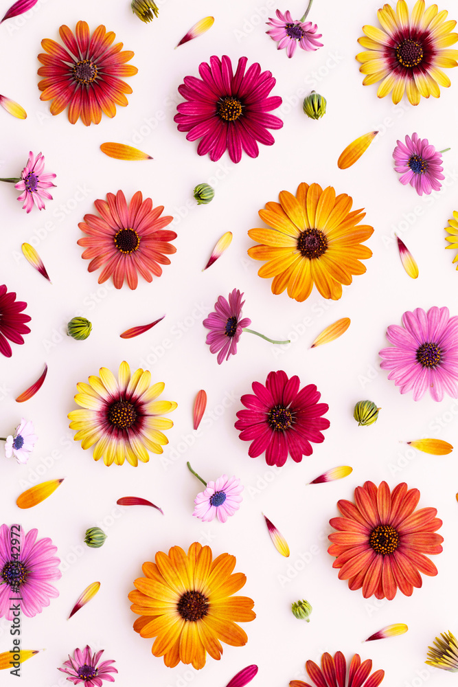 Colorful flower background Stock Photo | Adobe Stock