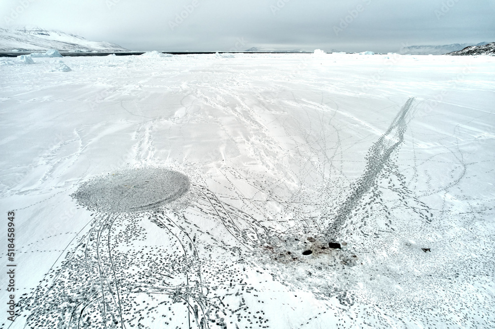 Greenlandic Inuit Inuk Eskimo traditional hunting ground on sea ice ...