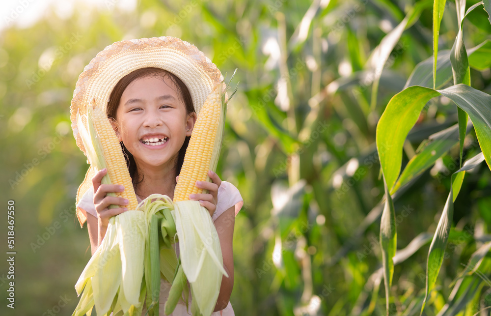 Adorable girl playing in a corn field on a beautiful summer day. Pretty ...