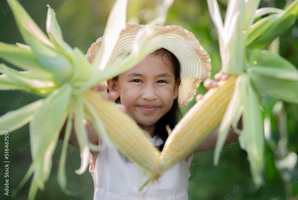 Adorable girl playing in a corn field on a beautiful summer day. Pretty ...