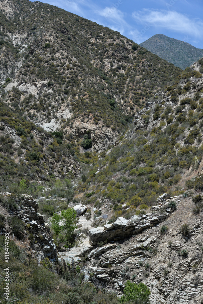 Tujunga, California, USA - May 9, 2022: Beautiful landscape on the ...