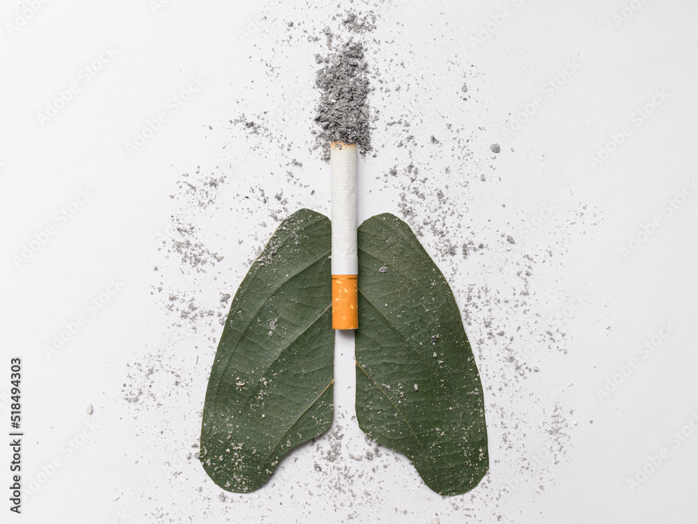 Cigarette smoker's lungs isolated on white background. Stop smoking ...