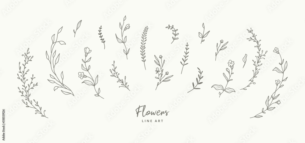 Delicate line art floral elements for wreaths frames. Hand drawn ...
