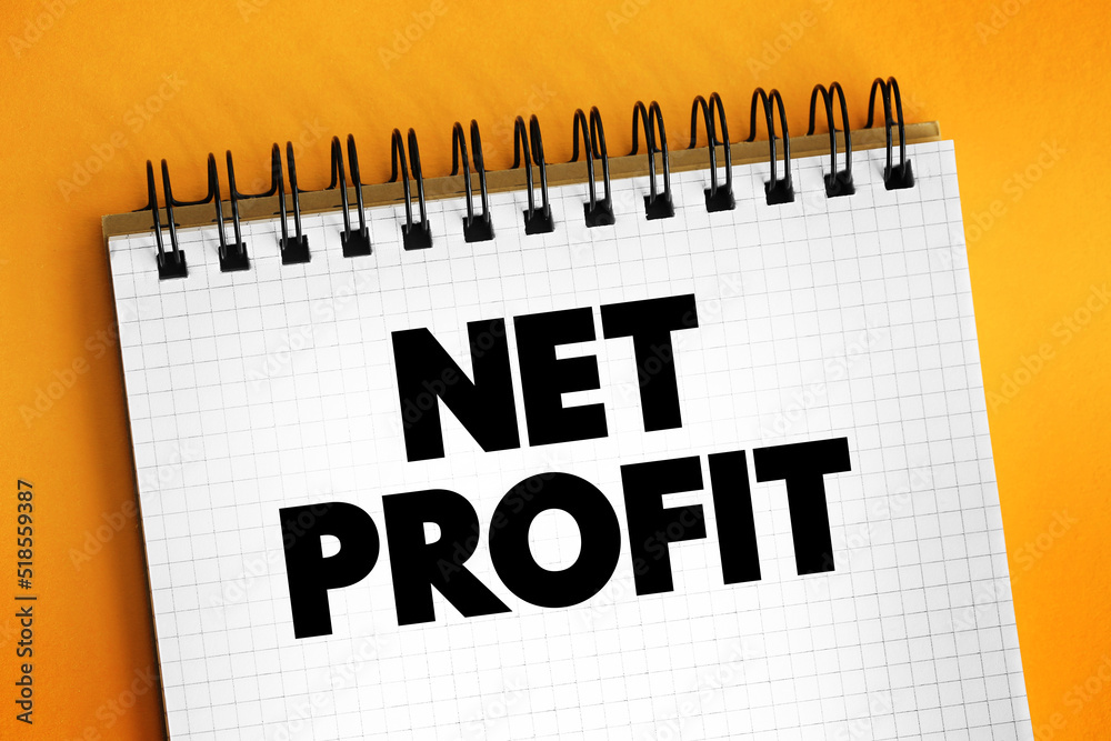 Net profit - actual profit after working expenses not included in the ...