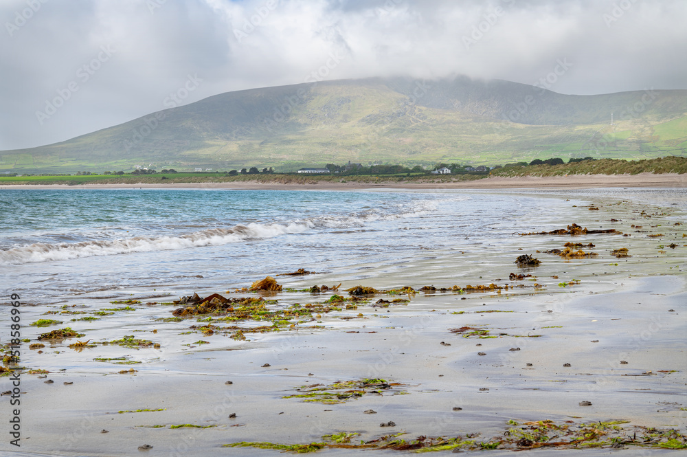 Ventry Bay Beach in County Kerry, Ireland Stock Photo | Adobe Stock