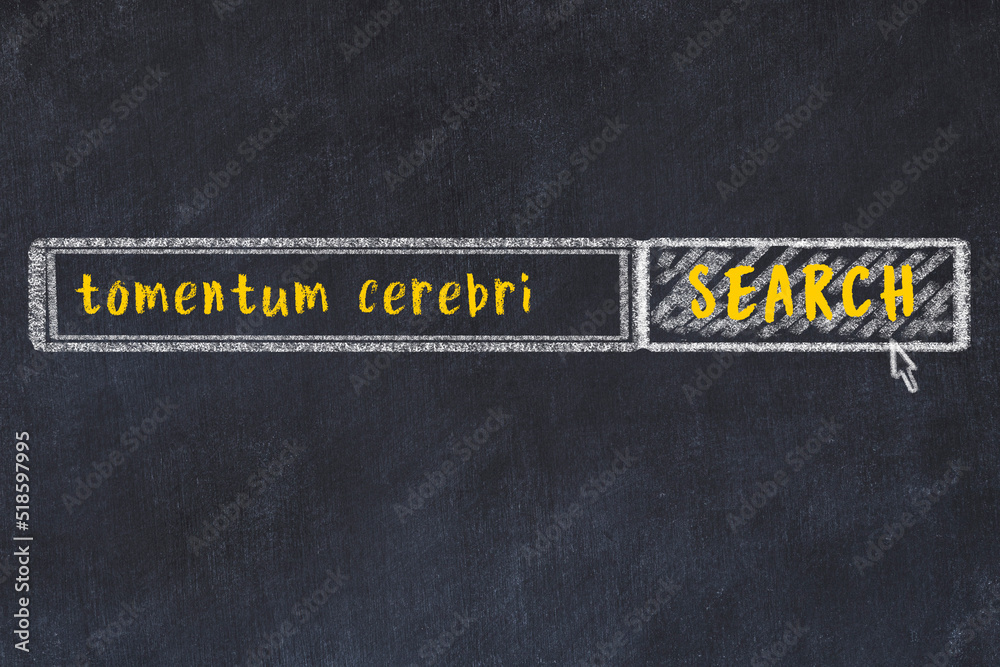 Chalk sketch of browser window with search form and inscription ...