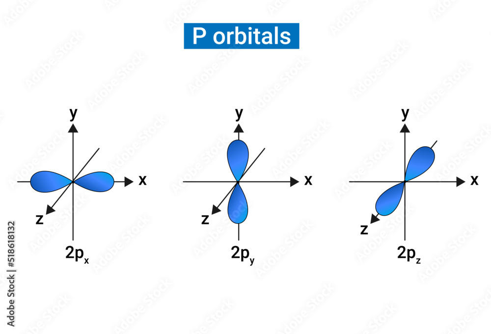 Shapes of P orbital or nodal plane Stock Vector | Adobe Stock