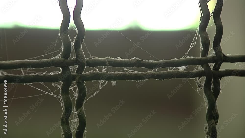 Security Fence with Spider Webs in a Corridor of an Old Prison in ...