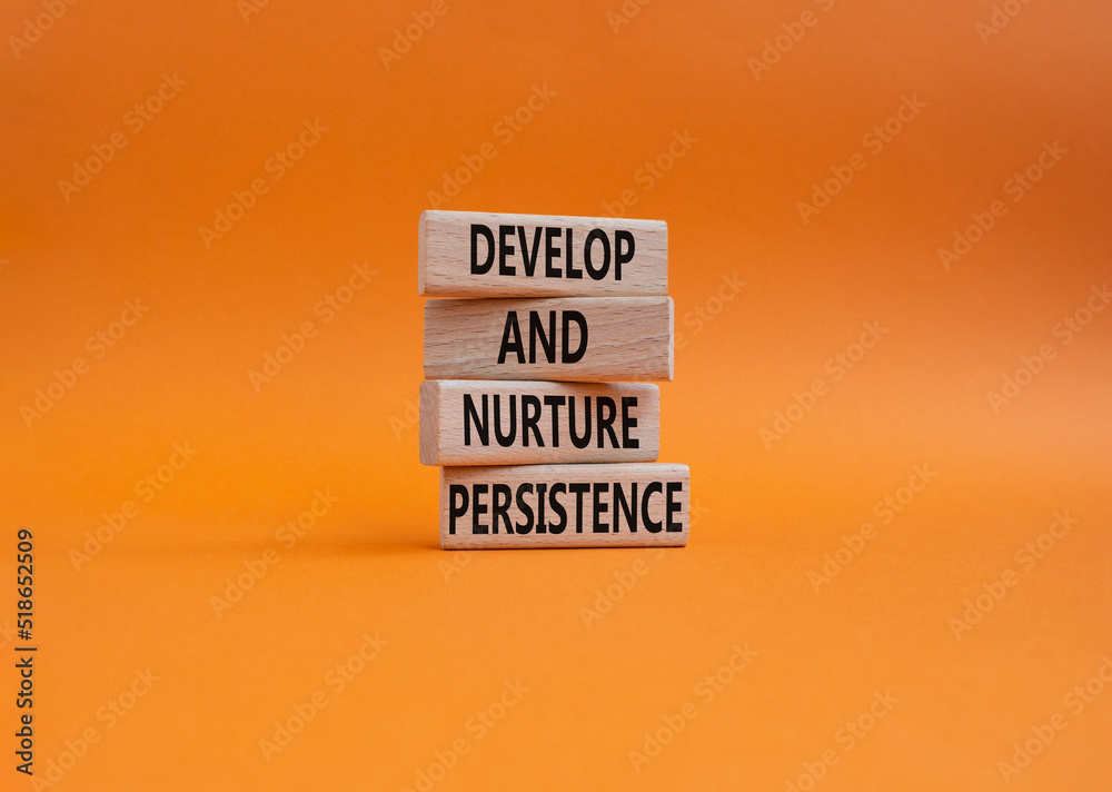 Persistence and development symbol. Wooden blocks with words 'Develop ...