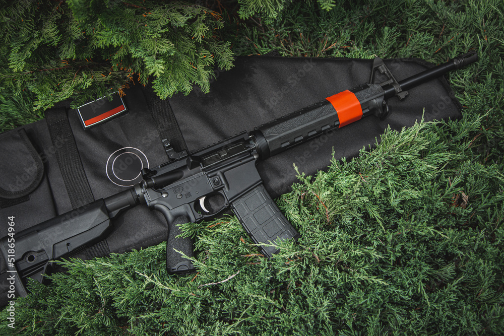 Modern carabiner and case for transportation and storage. Weapons for ...