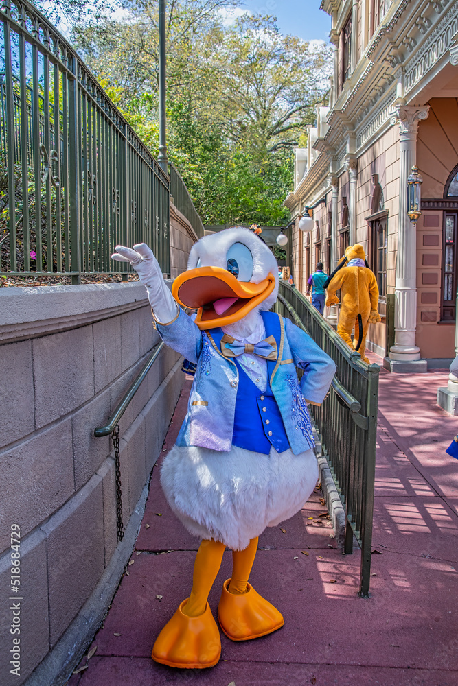 Donald Duck character at DIsney Magic Kingdom Stock Photo | Adobe Stock