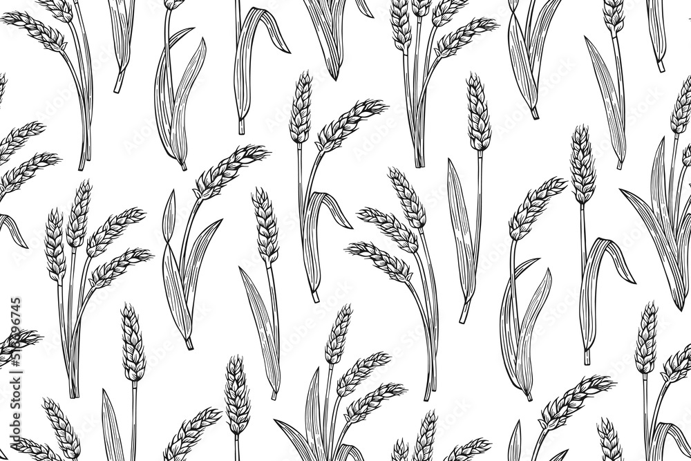 Wheat ear sketch seamless pattern. Agricultural abundance endless print ...