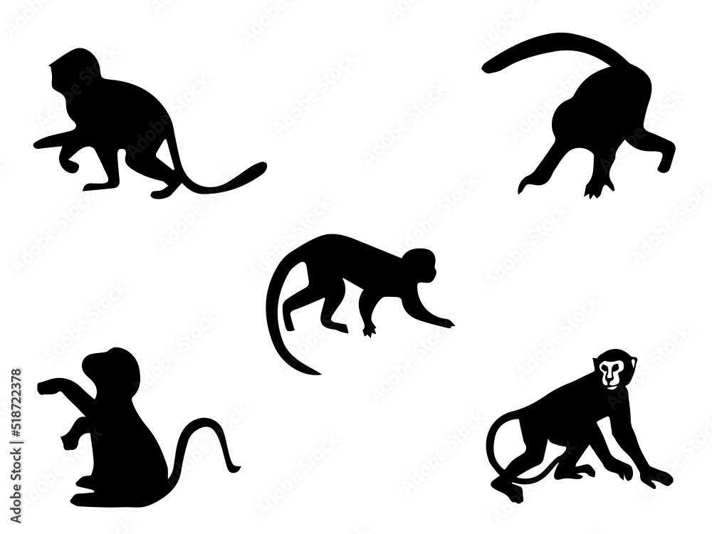 Monkey vector image. Monkey stock vector. Stylized Monkey Illustration ...