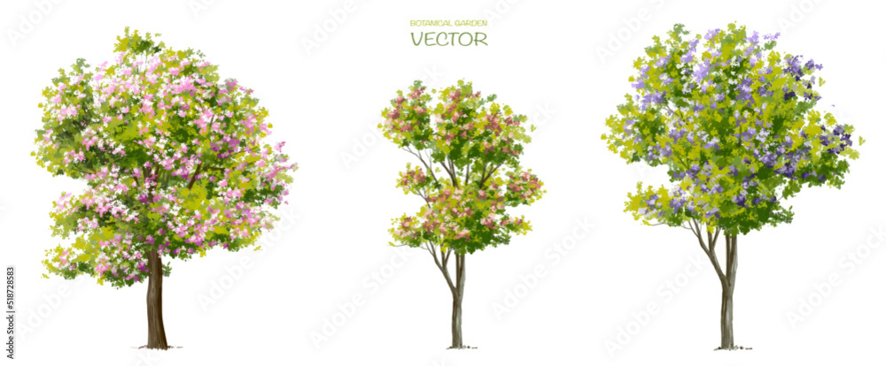 Vector watercolor blooming flower tree side view isolated on white ...