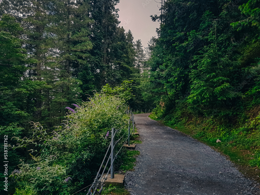 Pipeline Track; Ayubia National Park, Dunga Gali, is one of the most ...