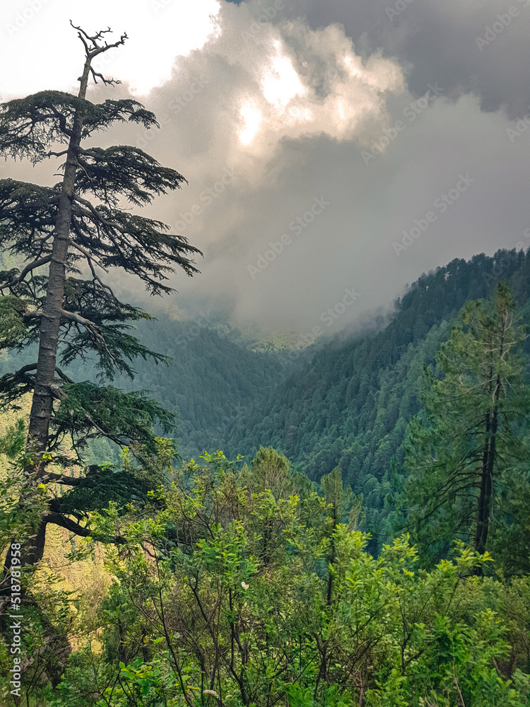 Fotografia do Stock: Pipeline Track; Ayubia National Park, Dunga Gali ...
