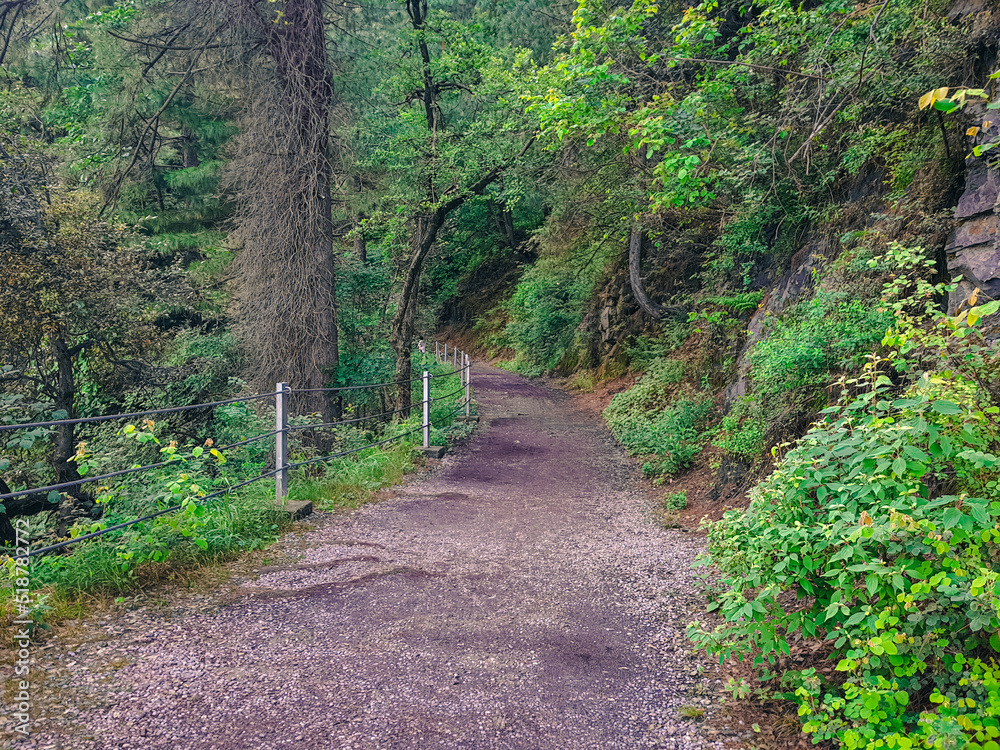 Pipeline Track; Ayubia National Park, Dunga Gali, is one of the most ...