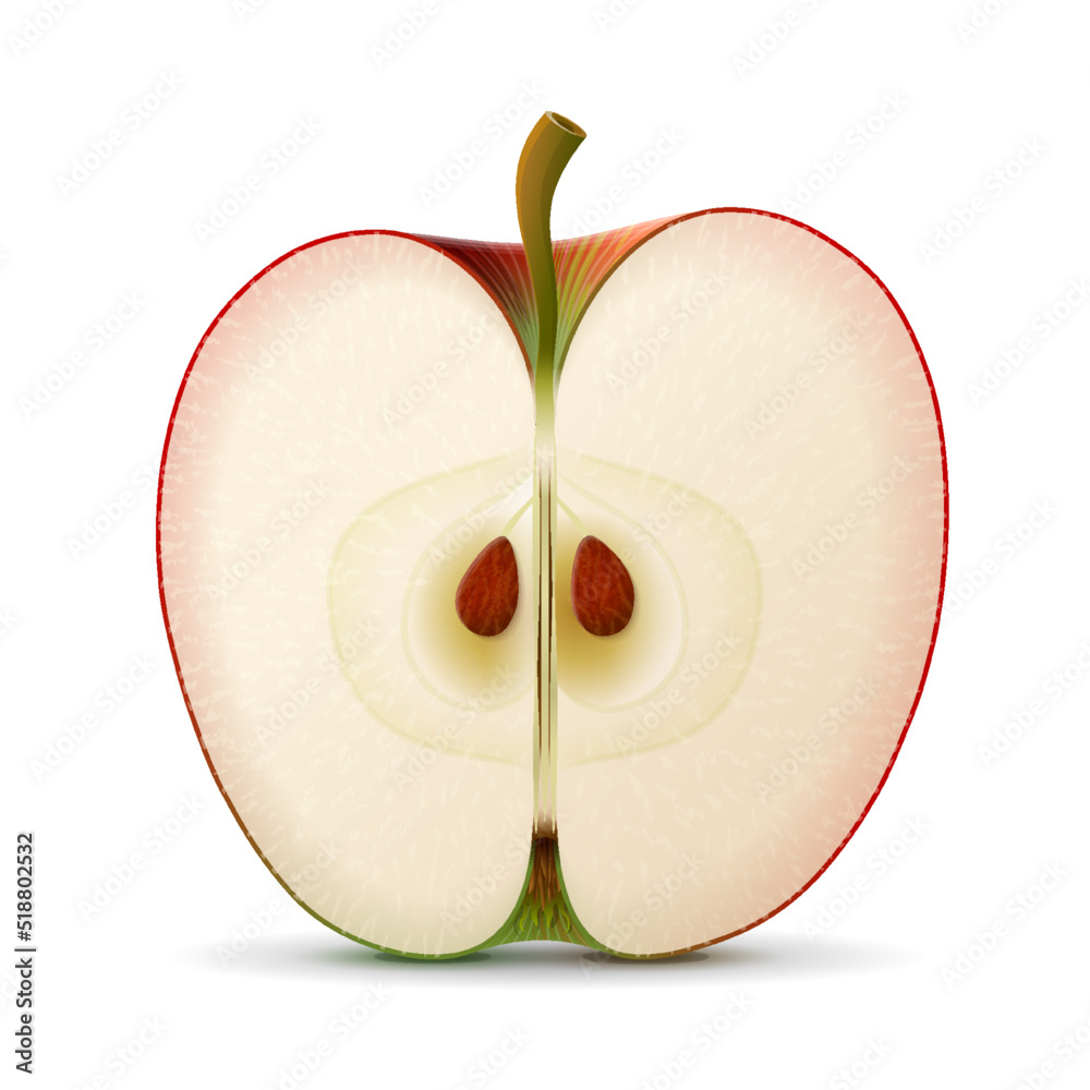 Apple fruit slice close up. Section of apple with seeds isolated on ...