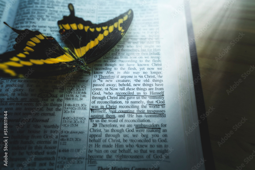 Monarch Butterfly On Open Bible New Life Transformation Concept Stock ...
