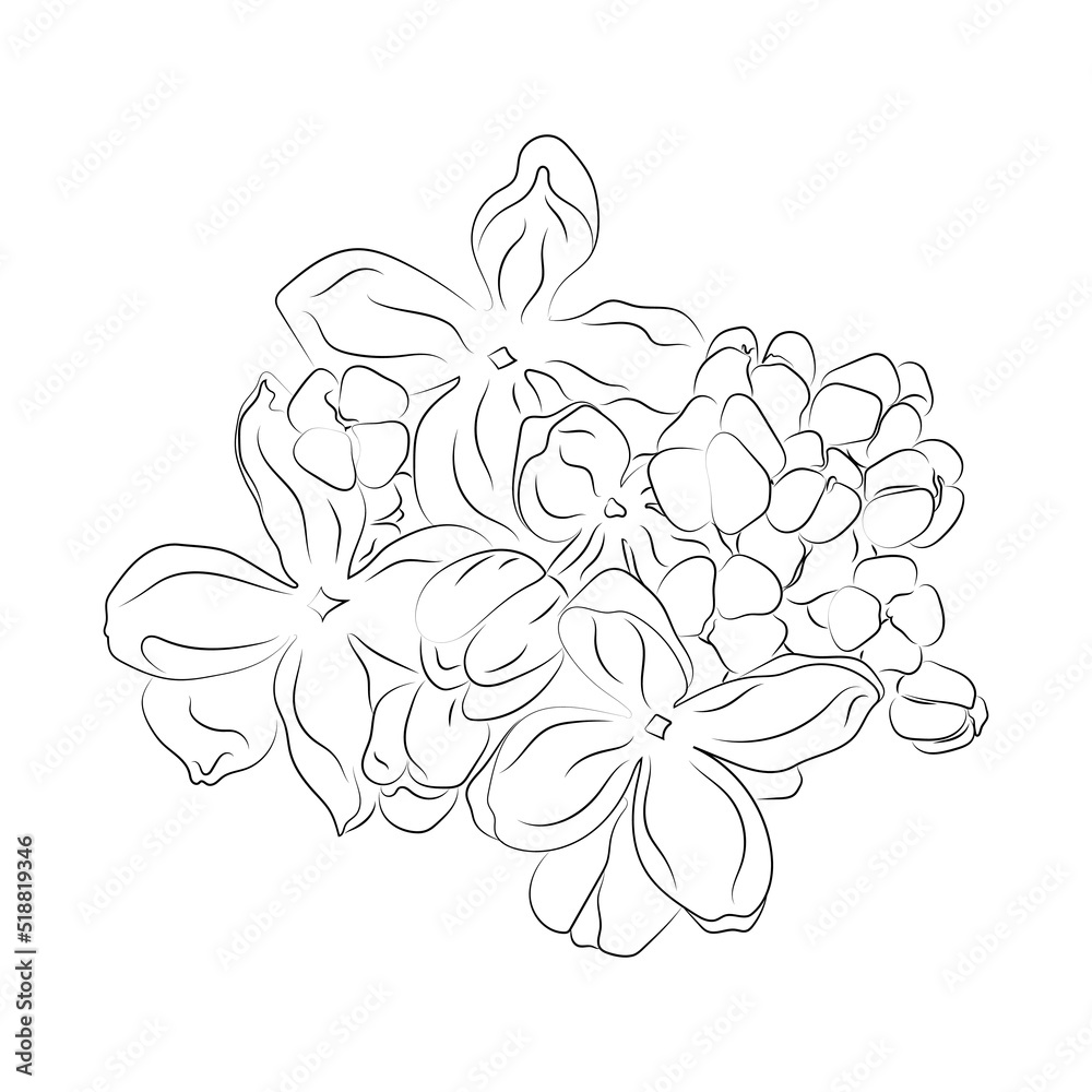 One Line Drawing. Line art flower. Continuous Line of Simple Flower ...