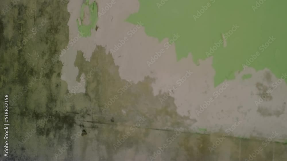 collapsing house with dilapidated walls, green mold on broken plaster ...