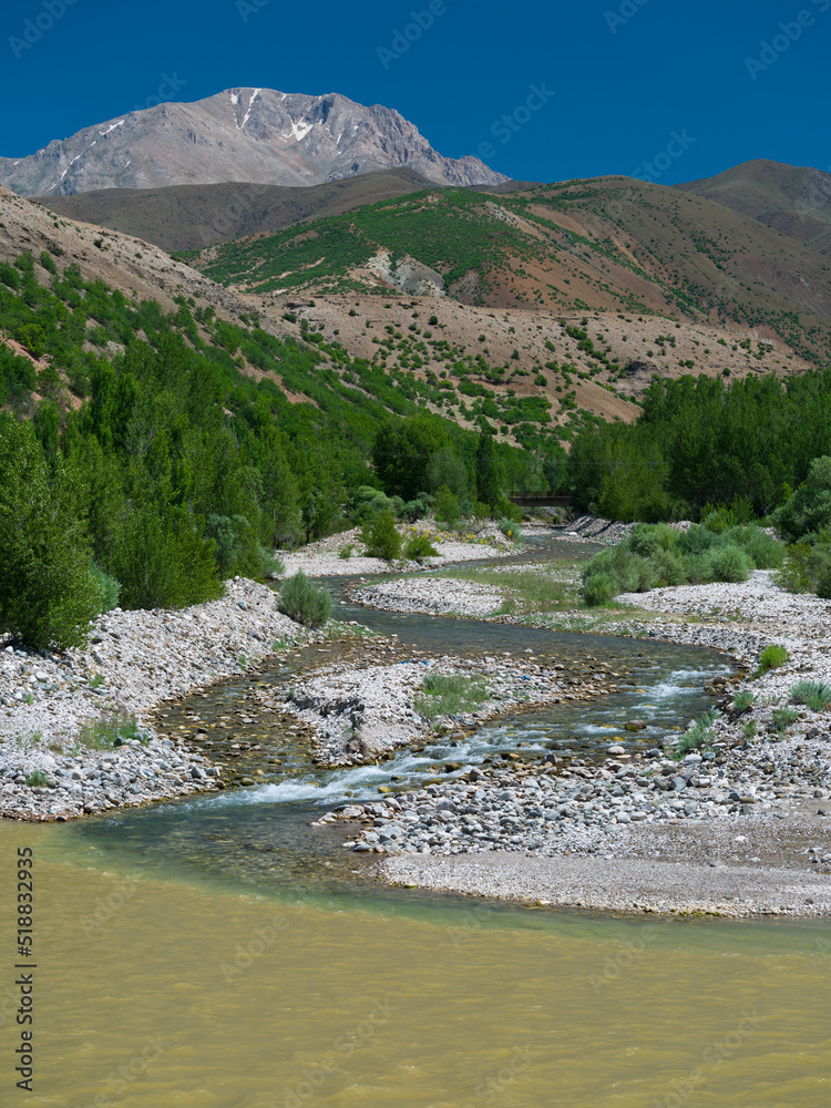 Clear water flowing from the mountains. Flow of clean stream into muddy ...