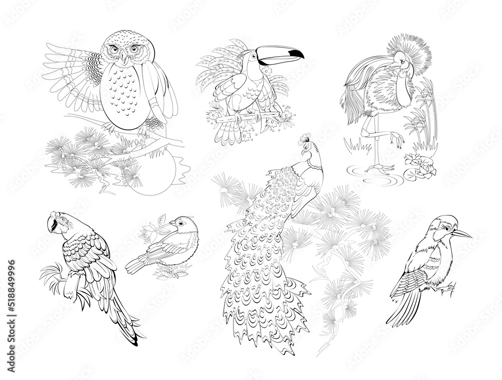Set of illustrations for children coloring book. Black and white ...