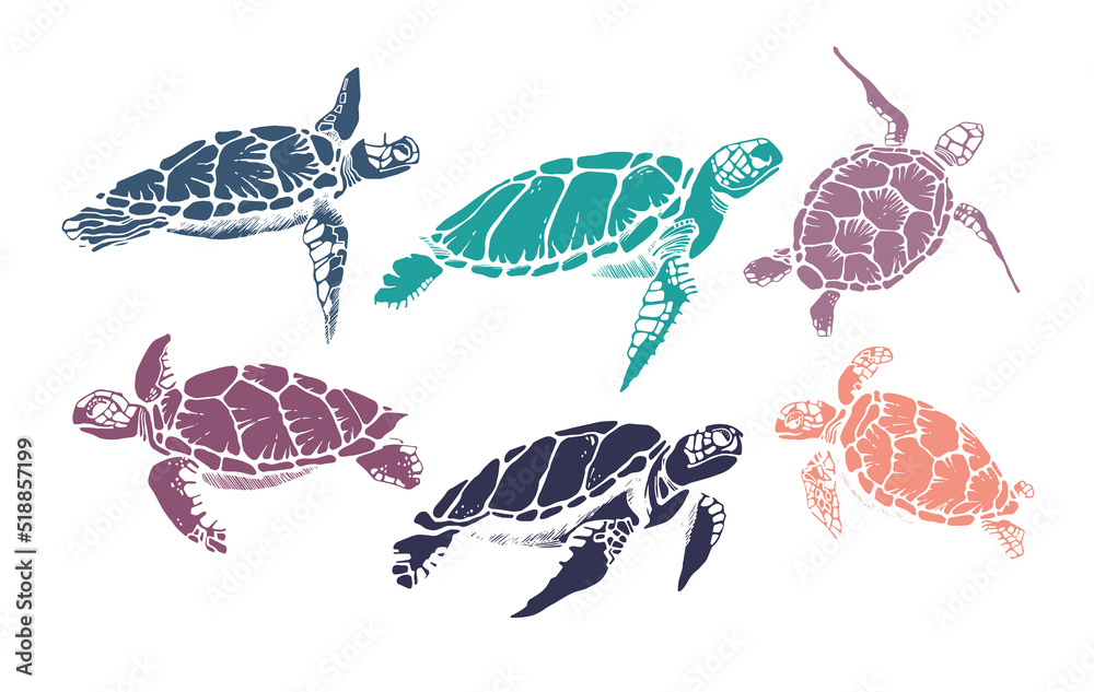 Set of realistic hand drawn vector illustration of sea turtle. Stock ...